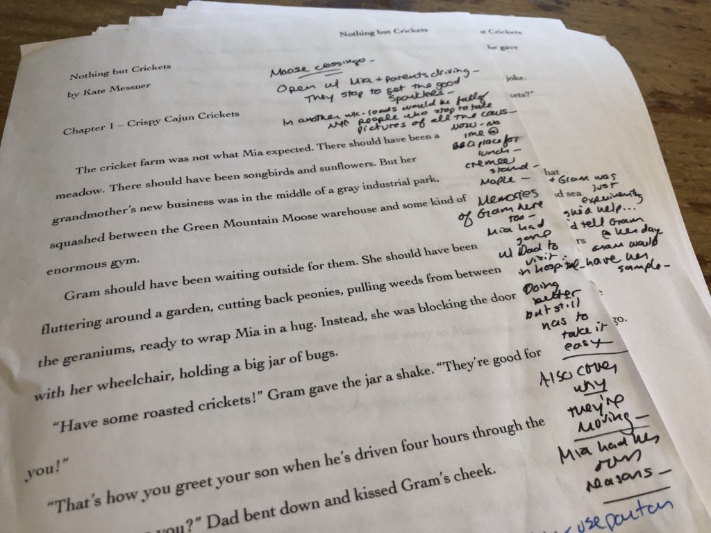 Countdown to CHIRP: Working with an Editorial Letter – Kate Messner